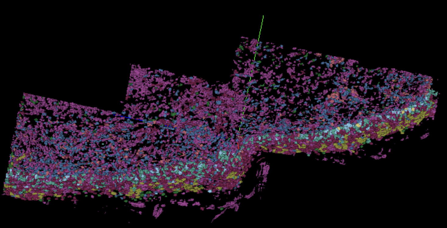 Views Types | Vitessce